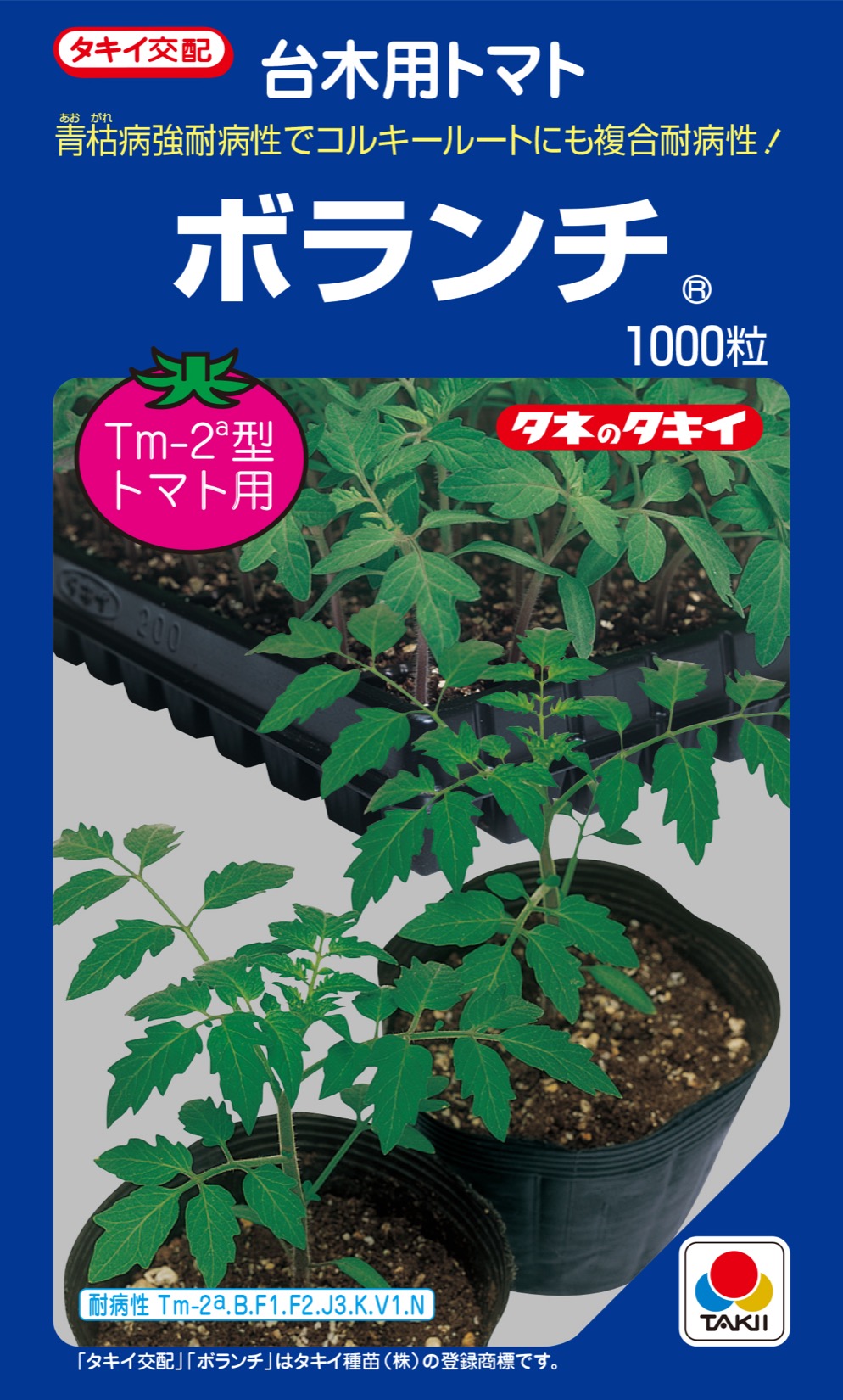 【トマト種子】ボランチ_1000粒 | 株式会社PsEco（ピーエスエコ）