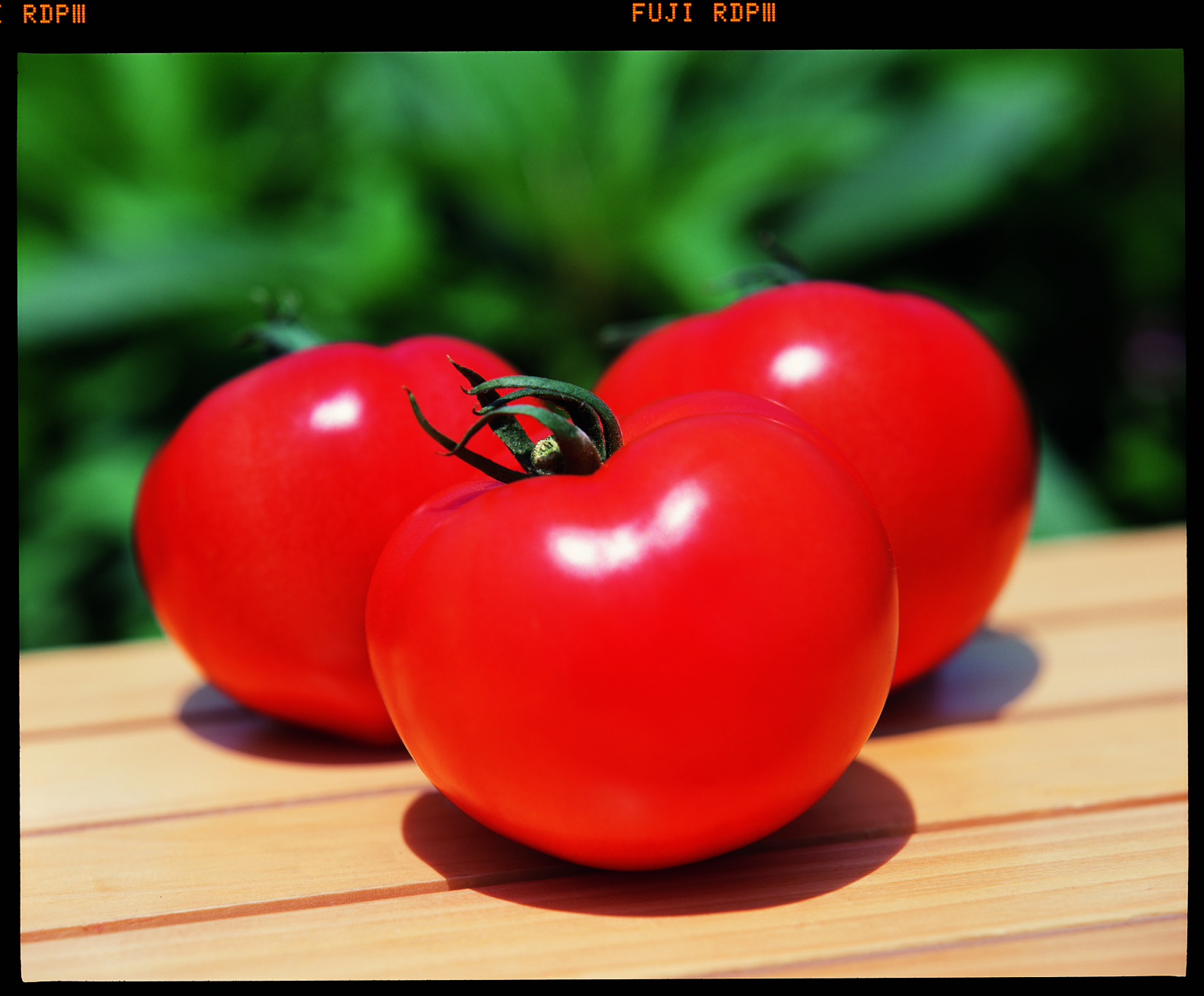 【トマト種子】麗夏_1000粒 | 株式会社PsEco（ピーエスエコ）