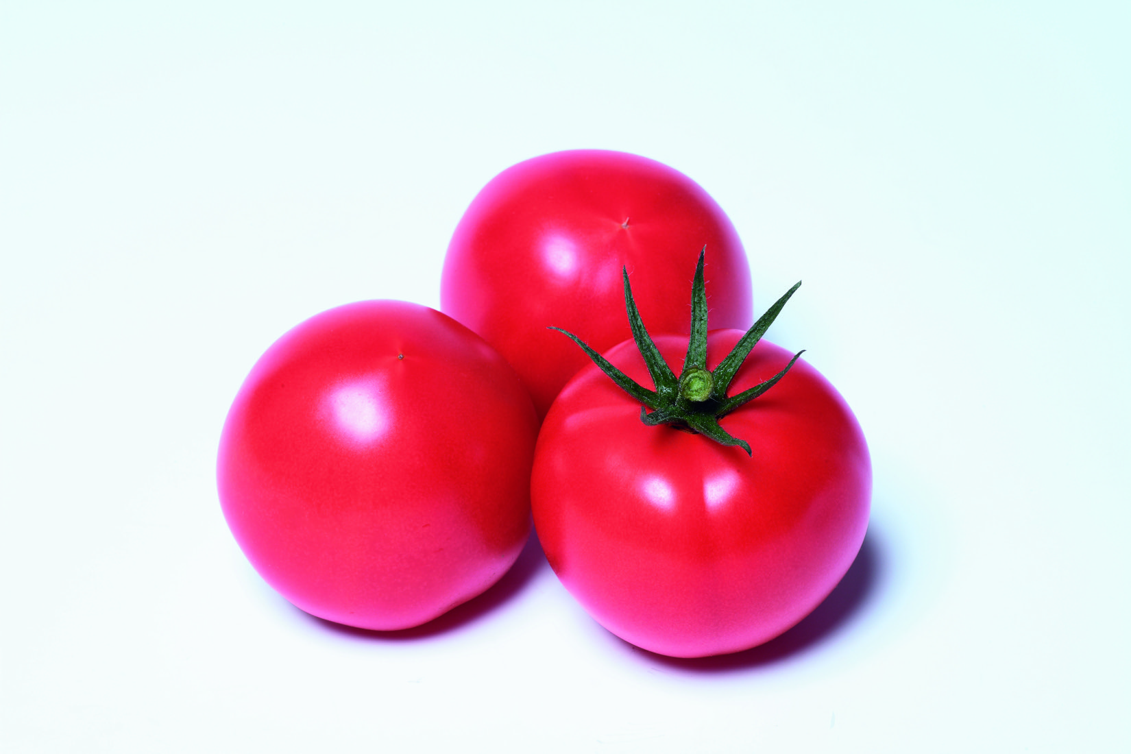 【トマト種子】麗月_1000粒 | 株式会社PsEco（ピーエスエコ）