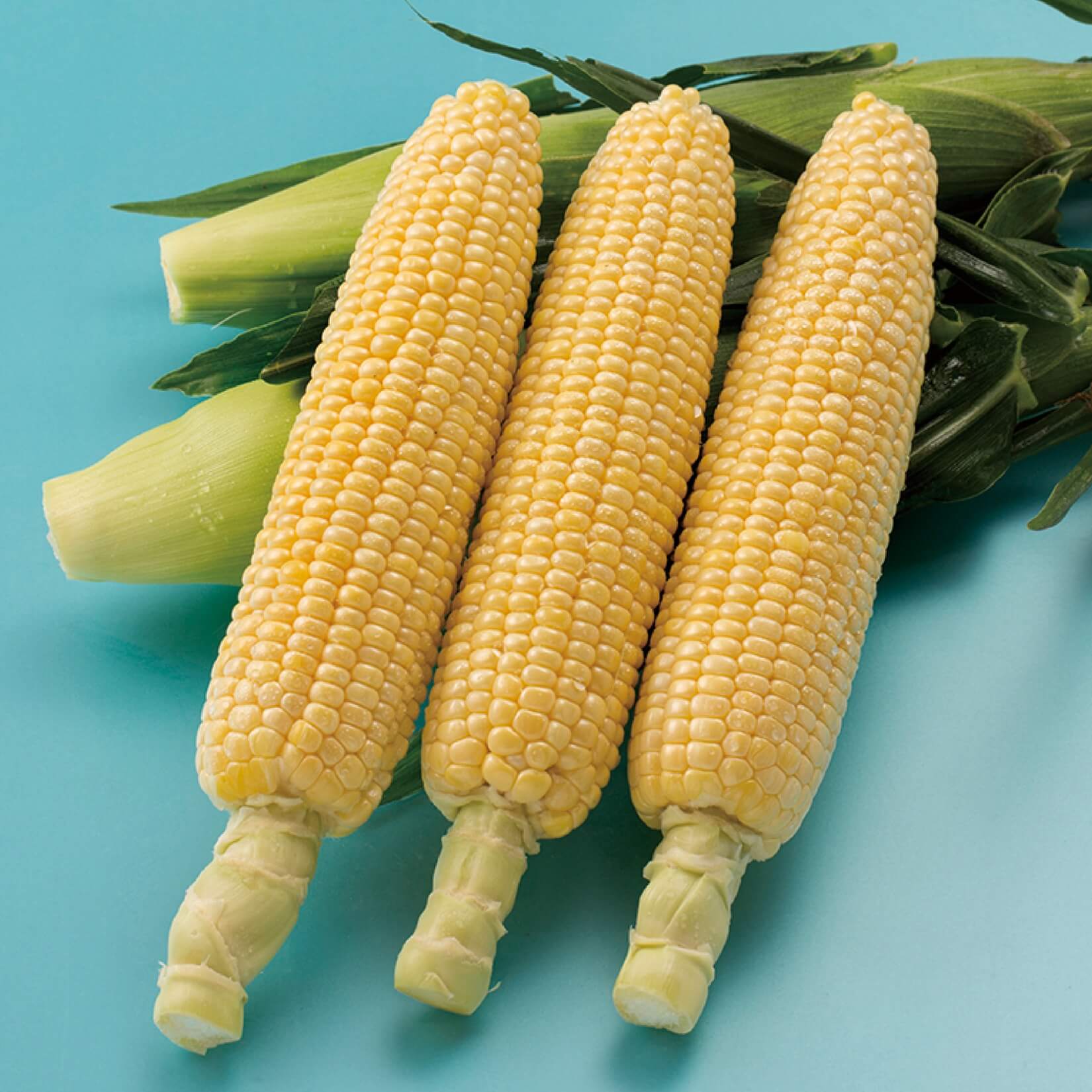 【スイートコーン種子】味来90_2000粒 | 株式会社PsEco（ピーエスエコ）